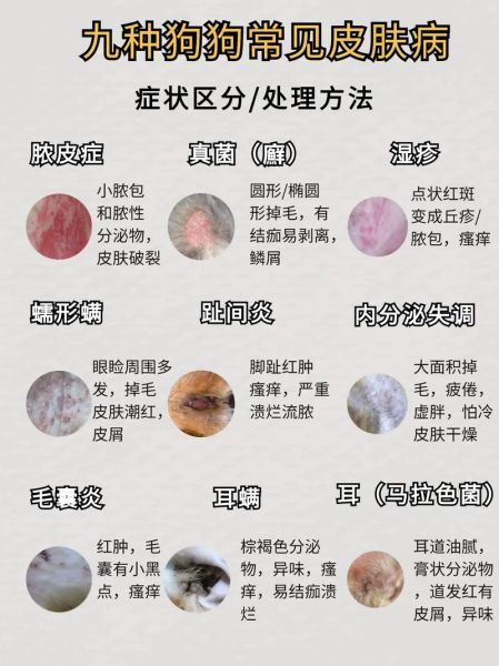 皮肤病图片对照大全_如何快速识别常见皮肤病-第3张图片-山城妙识 皮肤病图片对照大全_如何快速识别常见皮肤病-第3张图片-山城妙识