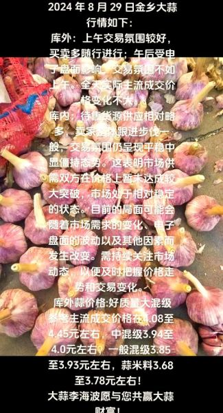 金乡大蒜今日收购价格_金乡大蒜价格走势-第2张图片-山城妙识