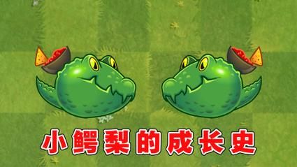 鳄梨小哥是谁_鳄梨小哥为什么这么火-第2张图片-山城妙识 鳄梨小哥是谁_鳄梨小哥为什么这么火-第2张图片-山城妙识