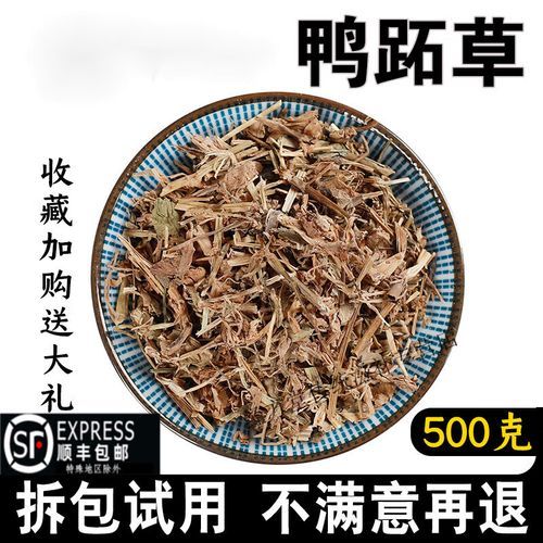 鸭舌草别名有哪些_鸭舌草和鸭跖草的区别-第3张图片-山城妙识 鸭舌草别名有哪些_鸭舌草和鸭跖草的区别-第3张图片-山城妙识