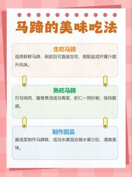 马蹄荸荠怎么吃_马蹄荸荠可以生吃吗-第1张图片-山城妙识 马蹄荸荠怎么吃_马蹄荸荠可以生吃吗-第1张图片-山城妙识