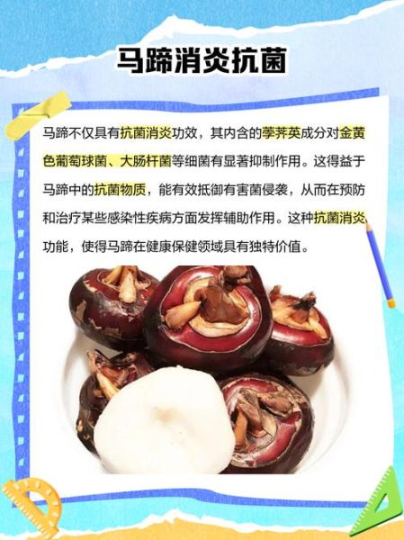 马蹄荸荠怎么吃_马蹄荸荠可以生吃吗-第3张图片-山城妙识 马蹄荸荠怎么吃_马蹄荸荠可以生吃吗-第3张图片-山城妙识