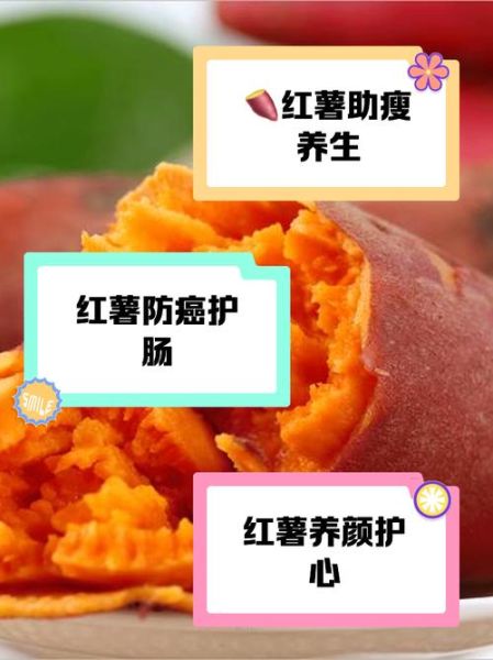 红薯吃多了会怎么样_红薯过量危害-第1张图片-山城妙识 红薯吃多了会怎么样_红薯过量危害-第1张图片-山城妙识