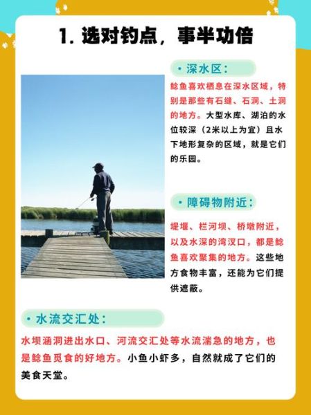 鸡肝钓鲶鱼技巧_鸡肝钓鲶鱼怎么挂钩-第3张图片-山城妙识 鸡肝钓鲶鱼技巧_鸡肝钓鲶鱼怎么挂钩-第3张图片-山城妙识