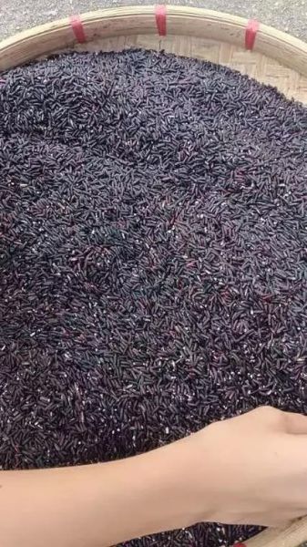 黑糯米的功效与作用及营养价值_黑糯米补血效果好吗-第2张图片-山城妙识