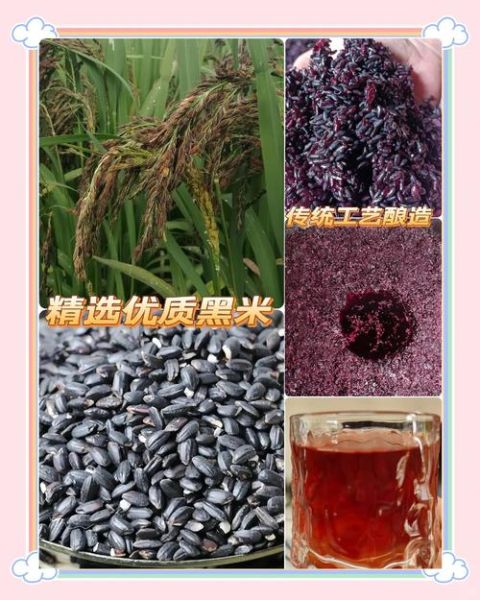 黑糯米的功效与作用及营养价值_黑糯米补血效果好吗-第3张图片-山城妙识