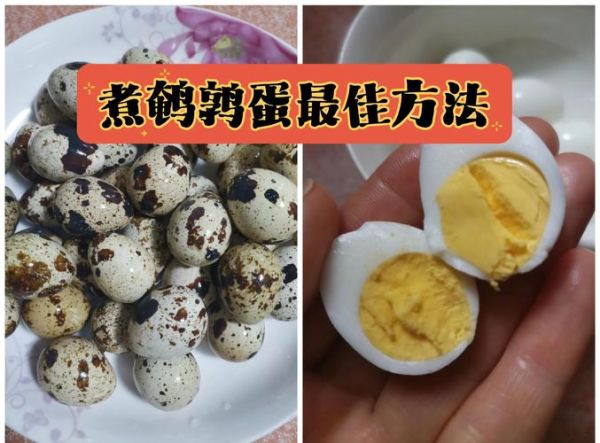 鹌鹑蛋怎么煮不破_鹌鹑蛋的做法大全-第1张图片-山城妙识 鹌鹑蛋怎么煮不破_鹌鹑蛋的做法大全-第1张图片-山城妙识