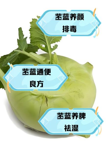 苤蓝的营养价值_苤蓝怎么吃最营养-第2张图片-山城妙识 苤蓝的营养价值_苤蓝怎么吃最营养-第2张图片-山城妙识