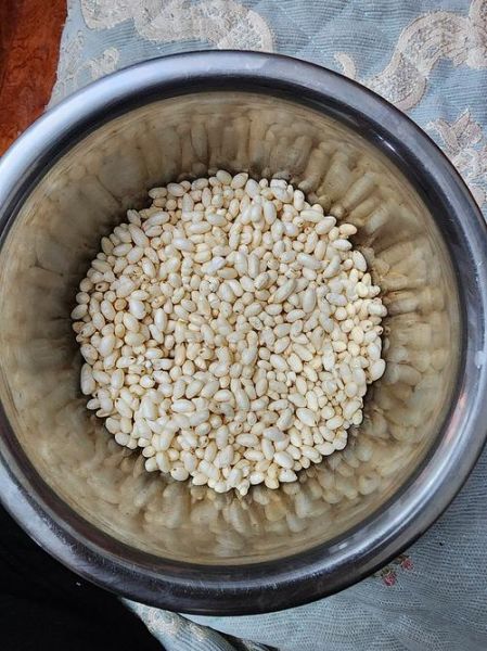 爆米花机多少钱一台_家用小型爆米花机价格-第1张图片-山城妙识