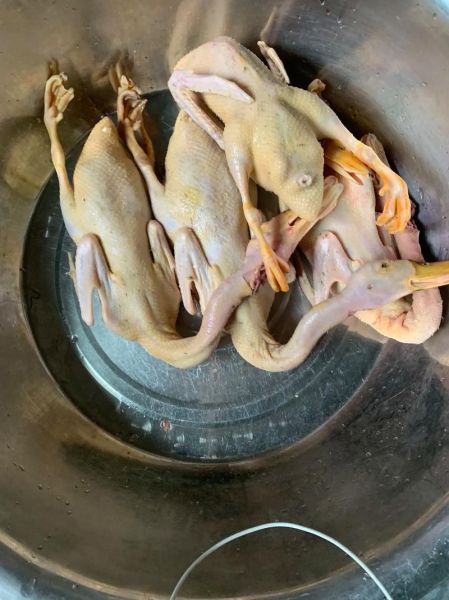 老鸭汤怎么做_老鸭汤放什么料最正宗-第3张图片-山城妙识