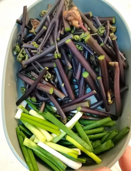 蕨菜怎么做好吃_蕨菜怎么处理不苦-第1张图片-山城妙识 蕨菜怎么做好吃_蕨菜怎么处理不苦-第1张图片-山城妙识