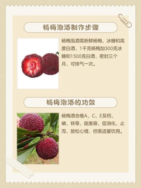 杨梅泡酒的功效与作用_杨梅泡酒的做法与禁忌-第3张图片-山城妙识 杨梅泡酒的功效与作用_杨梅泡酒的做法与禁忌-第3张图片-山城妙识