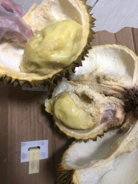 榴莲肉太软了一按就烂_还能吃吗-第1张图片-山城妙识 榴莲肉太软了一按就烂_还能吃吗-第1张图片-山城妙识