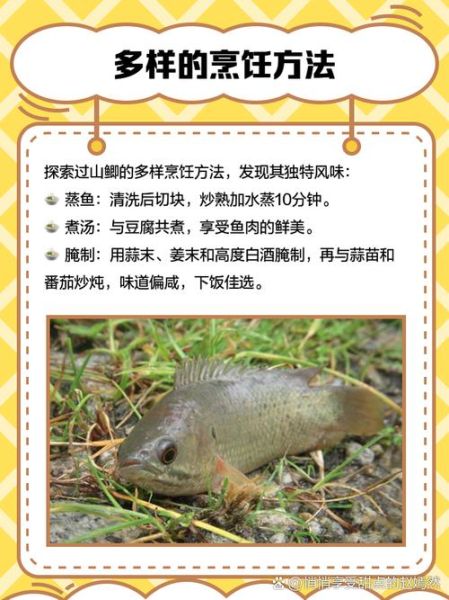 过江之鲫是什么意思_怎么用“过江之鲫”造句-第3张图片-山城妙识 过江之鲫是什么意思_怎么用“过江之鲫”造句-第3张图片-山城妙识