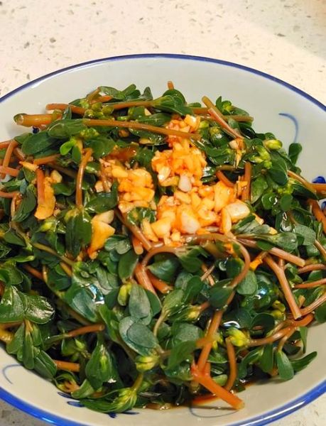 马苋菜怎么做好吃_马苋菜的家常做法-第1张图片-山城妙识 马苋菜怎么做好吃_马苋菜的家常做法-第1张图片-山城妙识