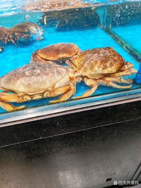 雷公蟹图片_雷公蟹长什么样-第2张图片-山城妙识 雷公蟹图片_雷公蟹长什么样-第2张图片-山城妙识