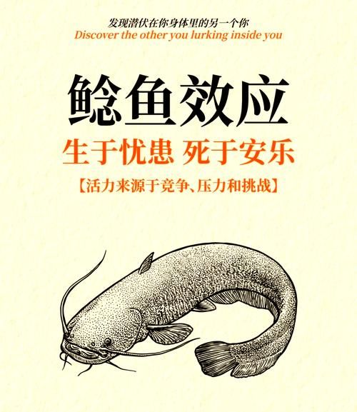 鲶鱼效应是什么意思_如何在团队中应用-第1张图片-山城妙识 鲶鱼效应是什么意思_如何在团队中应用-第1张图片-山城妙识