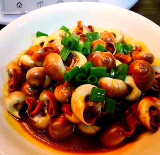 海螺怎么清洗_海螺做法视频教程-第1张图片-山城妙识 海螺怎么清洗_海螺做法视频教程-第1张图片-山城妙识