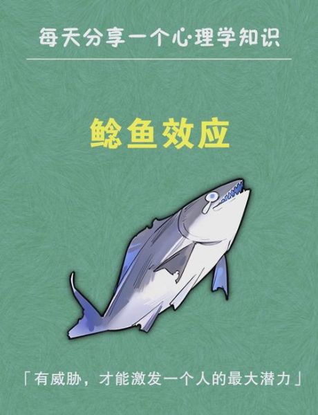 鲶鱼效应是什么意思_如何在团队中应用-第3张图片-山城妙识 鲶鱼效应是什么意思_如何在团队中应用-第3张图片-山城妙识