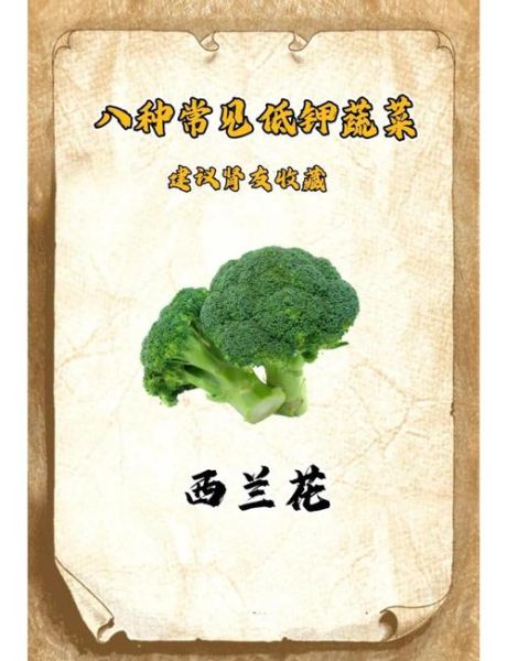 肾病能吃哪些蔬菜_14种低钾高营养蔬菜推荐-第1张图片-山城妙识 肾病能吃哪些蔬菜_14种低钾高营养蔬菜推荐-第1张图片-山城妙识