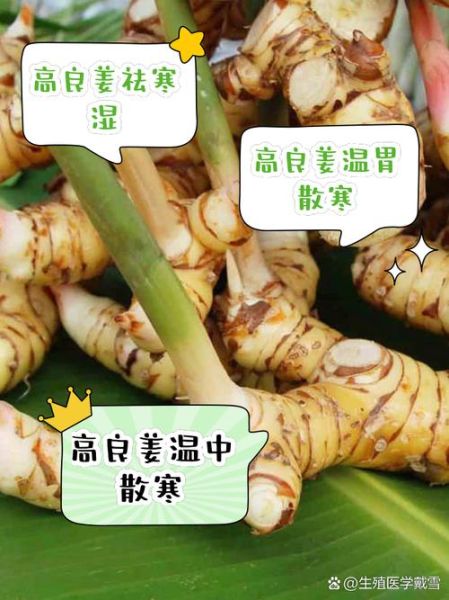 高良姜和香附的功效与作用_适合哪些人吃-第3张图片-山城妙识 高良姜和香附的功效与作用_适合哪些人吃-第3张图片-山城妙识