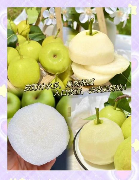 雪梨图片大全_高清壁纸怎么找-第2张图片-山城妙识 雪梨图片大全_高清壁纸怎么找-第2张图片-山城妙识