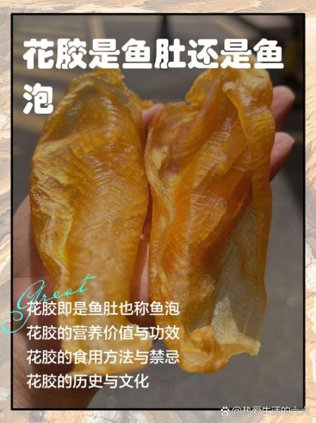 鱼肚是鱼的哪个部位_鱼肚和鱼泡有什么区别-第1张图片-山城妙识 鱼肚是鱼的哪个部位_鱼肚和鱼泡有什么区别-第1张图片-山城妙识