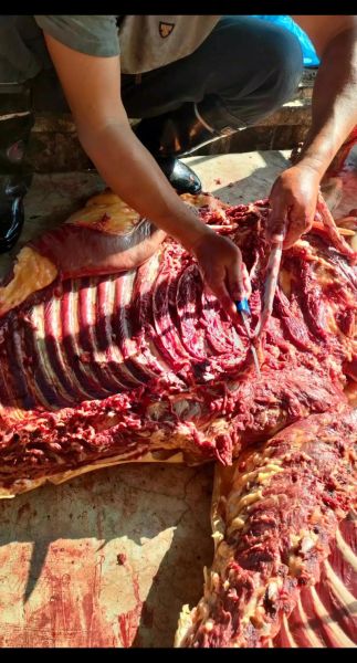 马肉多少钱一斤_马肉价格受哪些因素影响-第3张图片-山城妙识 马肉多少钱一斤_马肉价格受哪些因素影响-第3张图片-山城妙识
