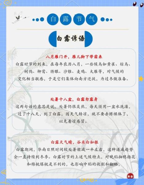白露是什么意思_白露节气有哪些习俗-第2张图片-山城妙识 白露是什么意思_白露节气有哪些习俗-第2张图片-山城妙识
