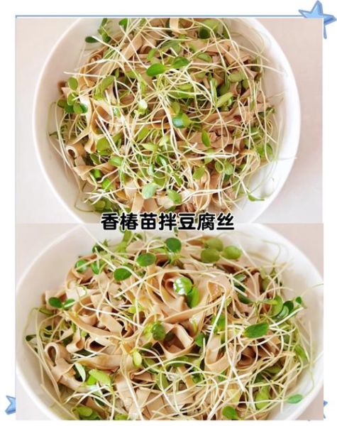 香椿苗怎么凉拌_香椿苗凉拌做法大全-第1张图片-山城妙识 香椿苗怎么凉拌_香椿苗凉拌做法大全-第1张图片-山城妙识