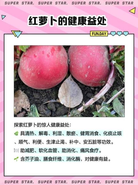 东北大红萝卜的功效与作用_怎么吃最养生-第1张图片-山城妙识 东北大红萝卜的功效与作用_怎么吃最养生-第1张图片-山城妙识