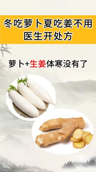 东北大红萝卜的功效与作用_怎么吃最养生-第3张图片-山城妙识 东北大红萝卜的功效与作用_怎么吃最养生-第3张图片-山城妙识