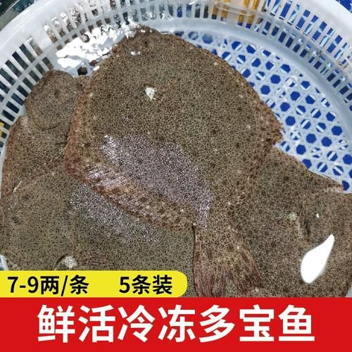 一斤多宝鱼多大尺寸_多宝鱼一斤几条-第3张图片-山城妙识 一斤多宝鱼多大尺寸_多宝鱼一斤几条-第3张图片-山城妙识