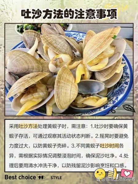 黄蚬子怎么吐沙子最快_黄蚬子吐沙子最快的方法-第2张图片-山城妙识 黄蚬子怎么吐沙子最快_黄蚬子吐沙子最快的方法-第2张图片-山城妙识