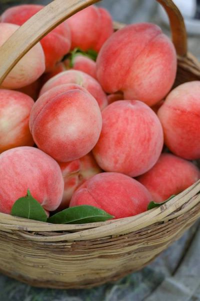 蜜枣桃多少钱一斤_蜜枣桃价格行情-第1张图片-山城妙识 蜜枣桃多少钱一斤_蜜枣桃价格行情-第1张图片-山城妙识