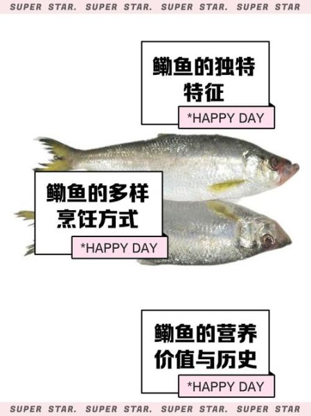 鳓怎么读_鳓鱼是什么鱼-第1张图片-山城妙识 鳓怎么读_鳓鱼是什么鱼-第1张图片-山城妙识