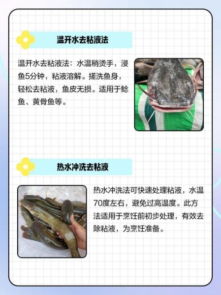 鲶鱼怎么去除粘液_鲶鱼去粘液用什么方法-第1张图片-山城妙识