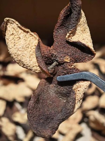 陈皮怎么制作_陈皮储存多久不会坏-第3张图片-山城妙识