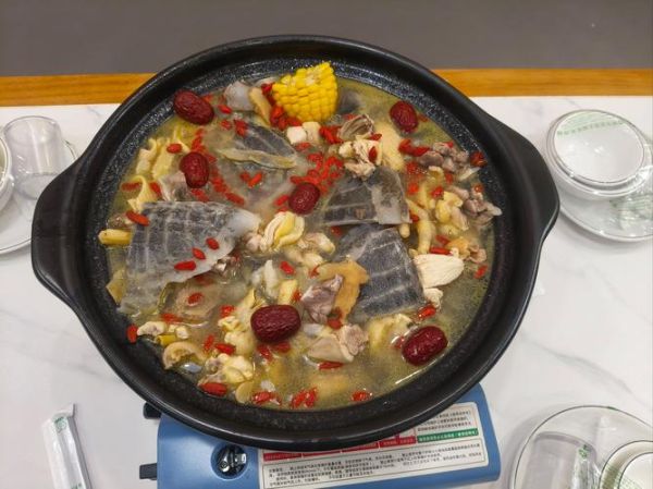 甲鱼汤怎么炖最有营养_甲鱼汤的功效与禁忌-第2张图片-山城妙识 甲鱼汤怎么炖最有营养_甲鱼汤的功效与禁忌-第2张图片-山城妙识