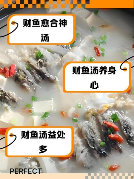 财鱼汤怎么做_财鱼汤对伤口愈合真的有用吗-第1张图片-山城妙识 财鱼汤怎么做_财鱼汤对伤口愈合真的有用吗-第1张图片-山城妙识