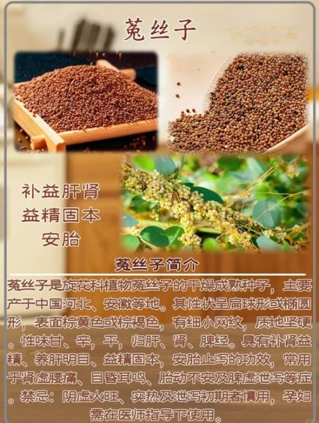 菟丝子怎么吃_菟丝子泡水喝的正确方法-第1张图片-山城妙识 菟丝子怎么吃_菟丝子泡水喝的正确方法-第1张图片-山城妙识