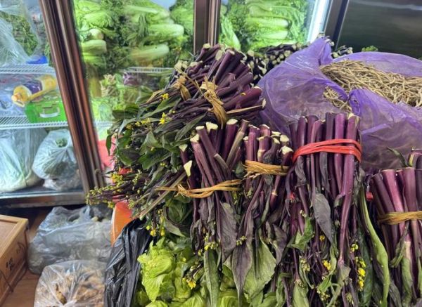 菜苔图片大全_如何区分红菜苔与白菜苔-第2张图片-山城妙识 菜苔图片大全_如何区分红菜苔与白菜苔-第2张图片-山城妙识