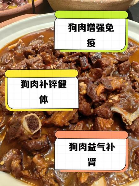 狗肉煲的做法_狗肉煲用什么配料-第2张图片-山城妙识