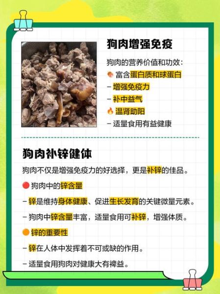 狗肉煲的做法_狗肉煲用什么配料-第3张图片-山城妙识