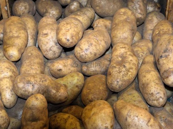 土豆视频下载安装免费下载_如何安全获取官方正版-第3张图片-山城妙识