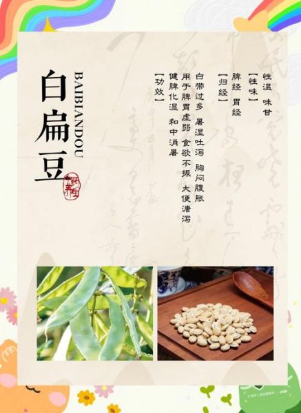 白扁豆的营养价值_白扁豆的功效与作用-第3张图片-山城妙识 白扁豆的营养价值_白扁豆的功效与作用-第3张图片-山城妙识