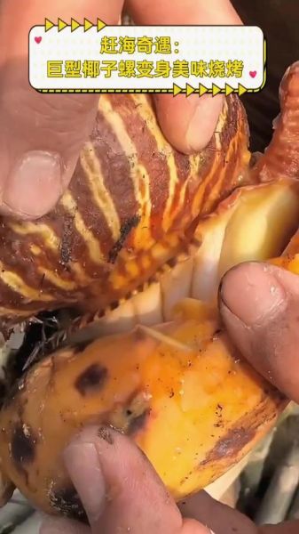 椰子螺怎么清洗_椰子螺做法视频教程-第3张图片-山城妙识 椰子螺怎么清洗_椰子螺做法视频教程-第3张图片-山城妙识