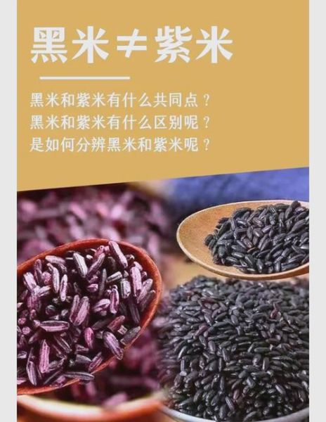 紫米和黑米哪个更补血_紫米怎么煮才软糯-第2张图片-山城妙识 紫米和黑米哪个更补血_紫米怎么煮才软糯-第2张图片-山城妙识