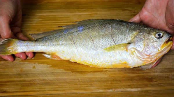 黄鱼视频怎么保存到手机_黄鱼视频下载失败怎么办-第1张图片-山城妙识