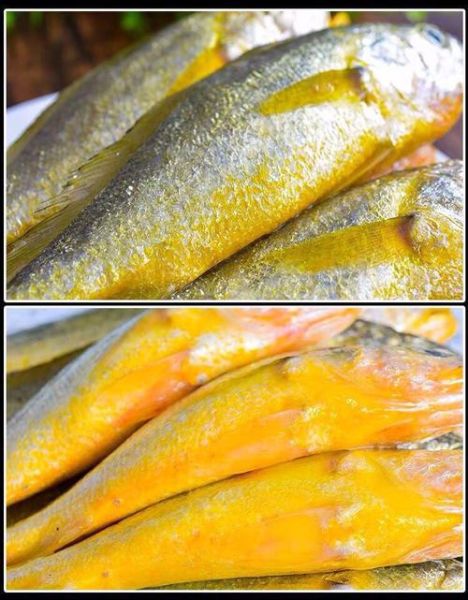 黄鱼视频怎么保存到手机_黄鱼视频下载失败怎么办-第2张图片-山城妙识